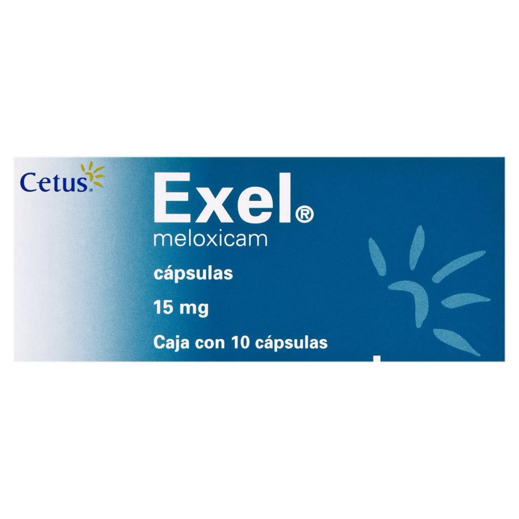 Exel Qu Es Y Para Qu Sirve Todo Sobre Medicamentos